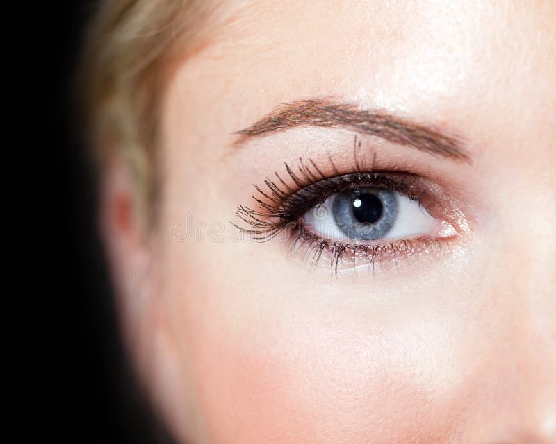 Eye stock image. Image of clear, eyed, bulb, blue, eyebrow - 29168235
