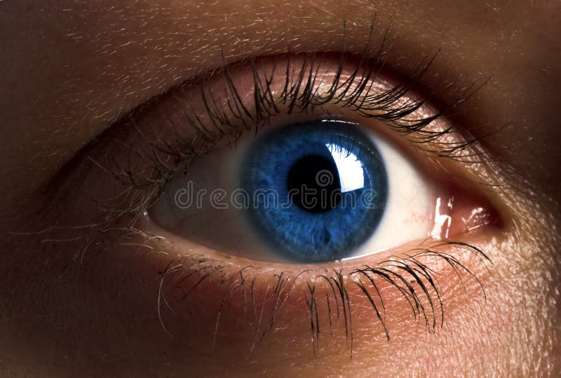 Blue Eye stock photo. Image of graphics, deep, biometrics - 2204250