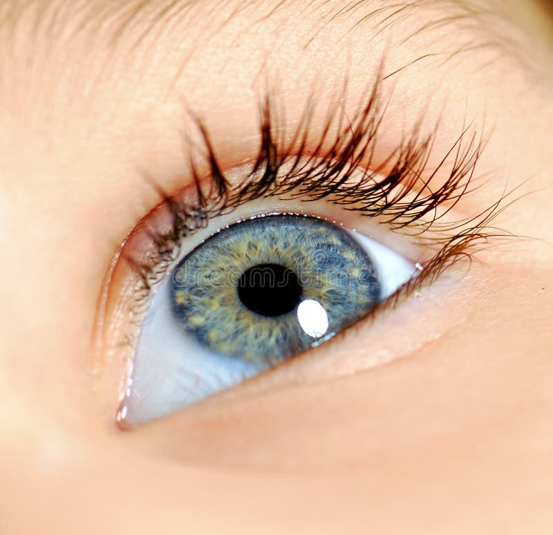 Blue eye stock photo. Image of hair, eyes, close, long - 2330256