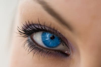 Beautiful Blue Eyeballs Stock Photos - Free & Royalty-Free Stock Photos ...