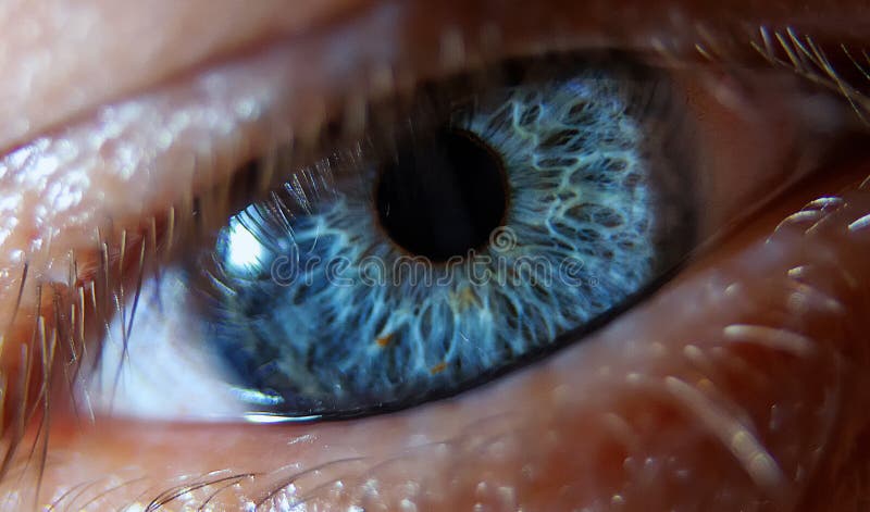 Blue eye stock image. Image of close, lashes, human, detailed - 26566937