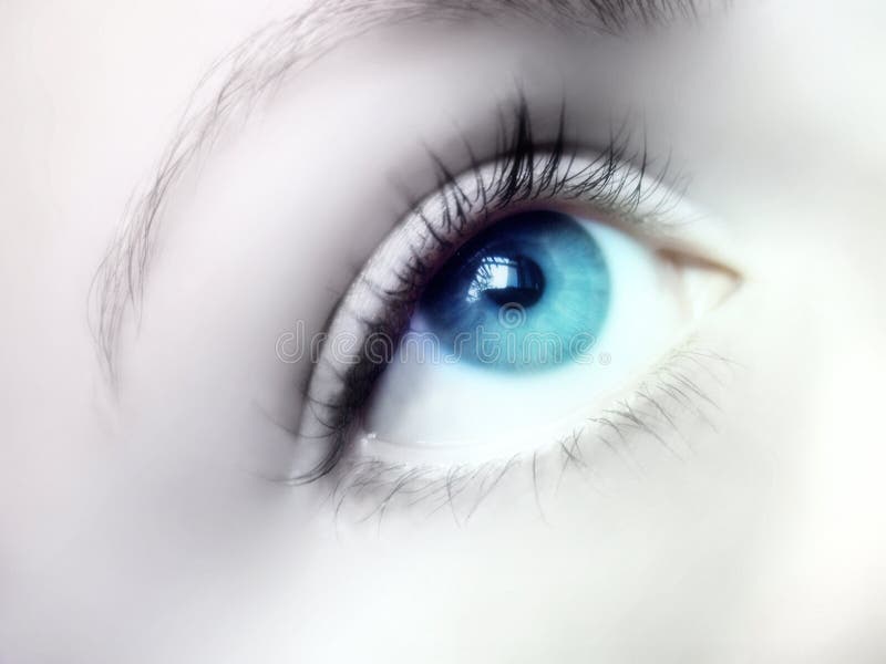 Blue eye stock image. Image of beautiful, blue, adult - 15722719