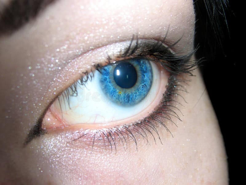 Blue eye stock image. Image of pale, look, eyes, black - 341411