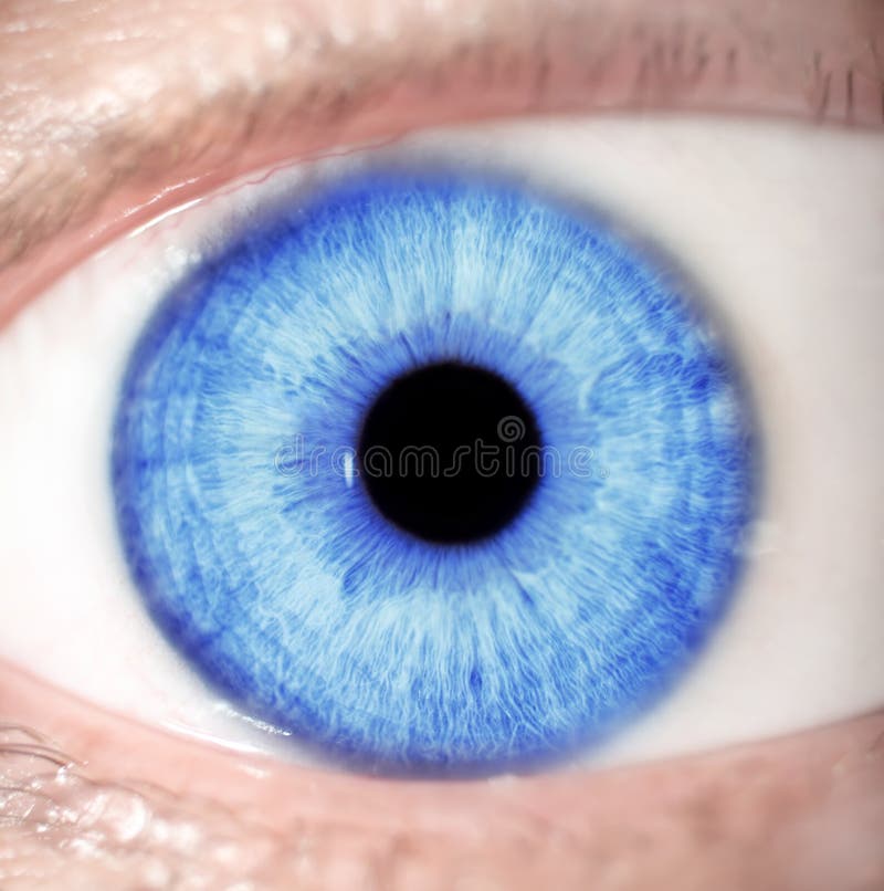 Blue eye stock image. Image of reflection, eyelash, blue - 4695547