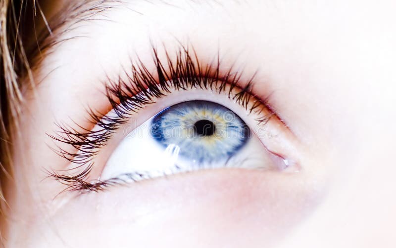 Eye stock image. Image of clear, eyed, bulb, blue, eyebrow - 29168235