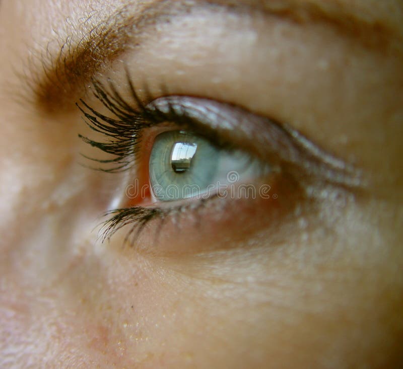 Blue eye stock image. Image of eyeball, glamour, eyelashes - 846845