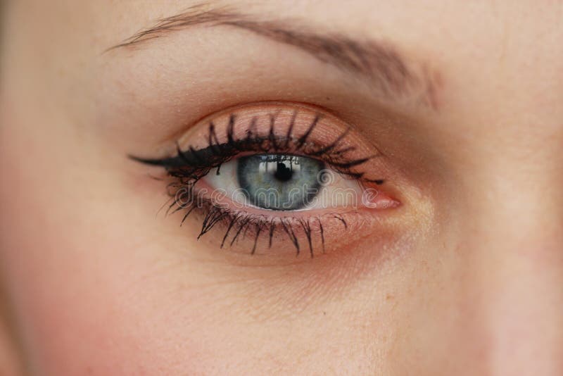 Blue eye stock image. Image of pupil, optical, head, visage - 8989125