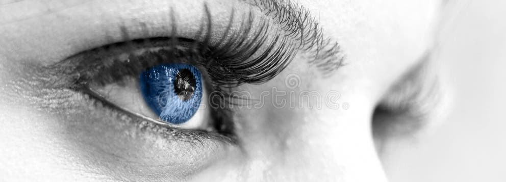 Blue Eye - Beautiful, Feminine Stock Image - Image of female, focus ...