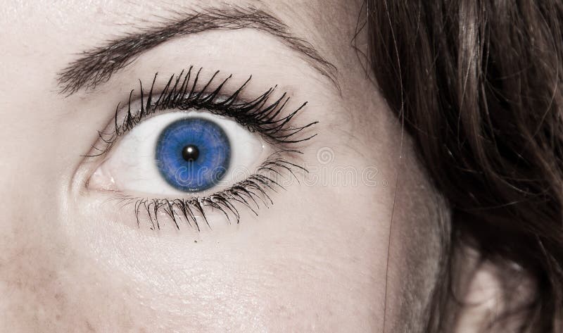Blue Eye - Beautiful, Feminine Stock Image - Image of female, focus ...