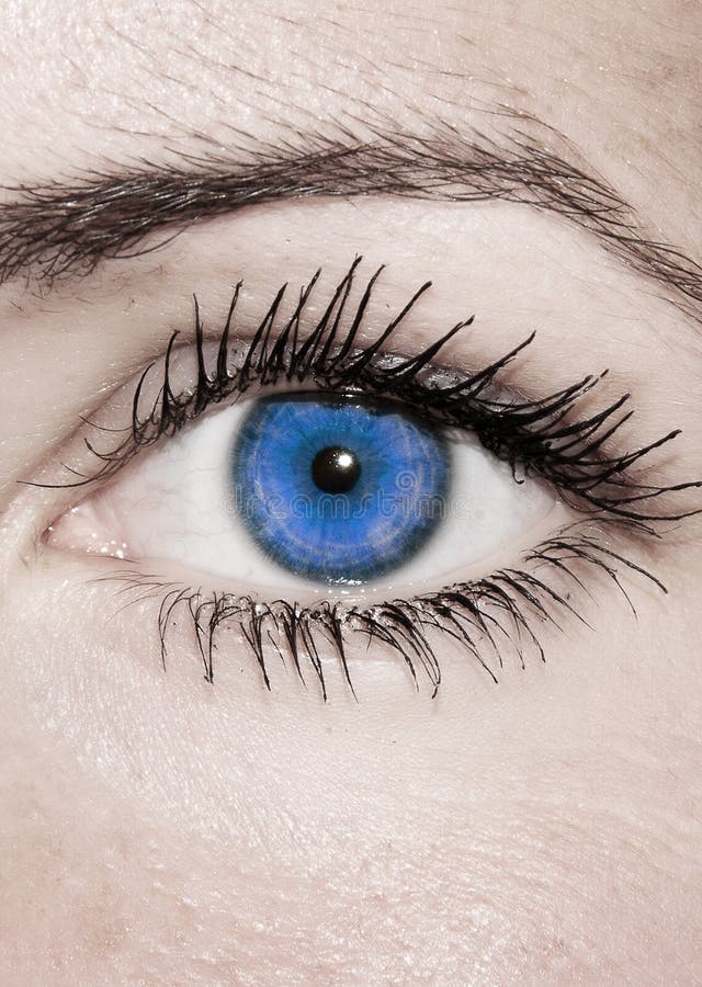 Blue Eye - Beautiful, Feminine Stock Image - Image of female, focus ...