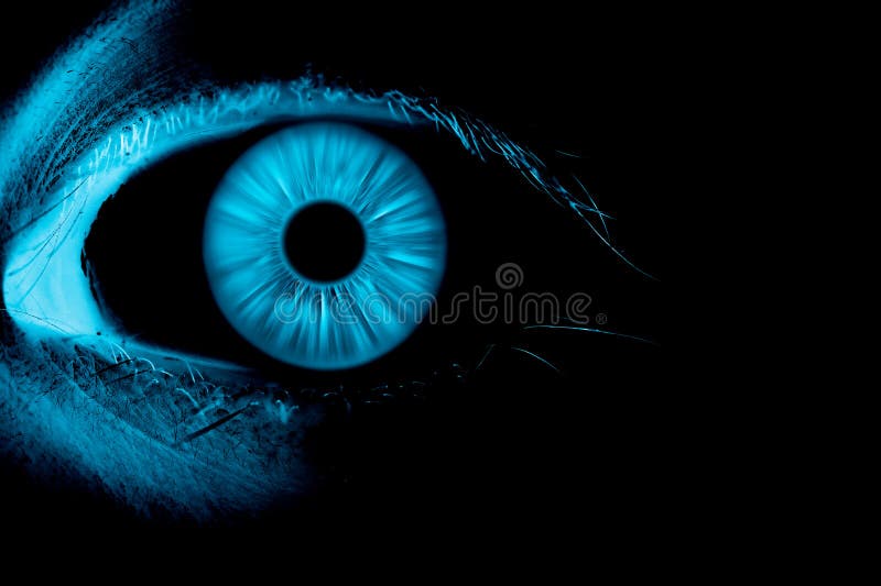 Blue eye on focus stock illustration. Illustration of texture - 1896834