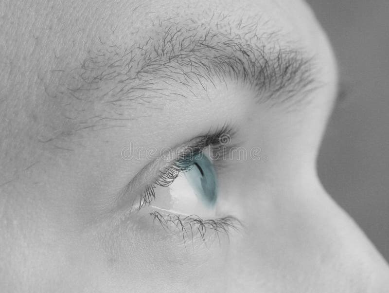 Blue eye of hope stock image. Image of eyeball, eyebrows - 2139745