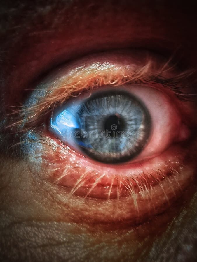 Blue eye stock photo. Image of human, close, blue - 162938050