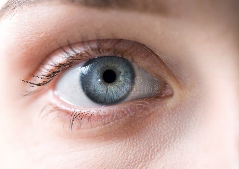 Blue eye. stock image. Image of care, cornea, beautiful - 97090949
