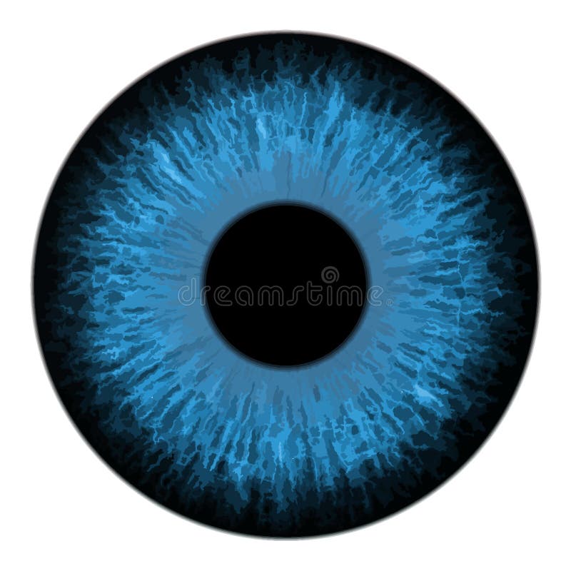 Blue Eye Iris Macro Vector Illustration Stock Vector - Illustration of ...