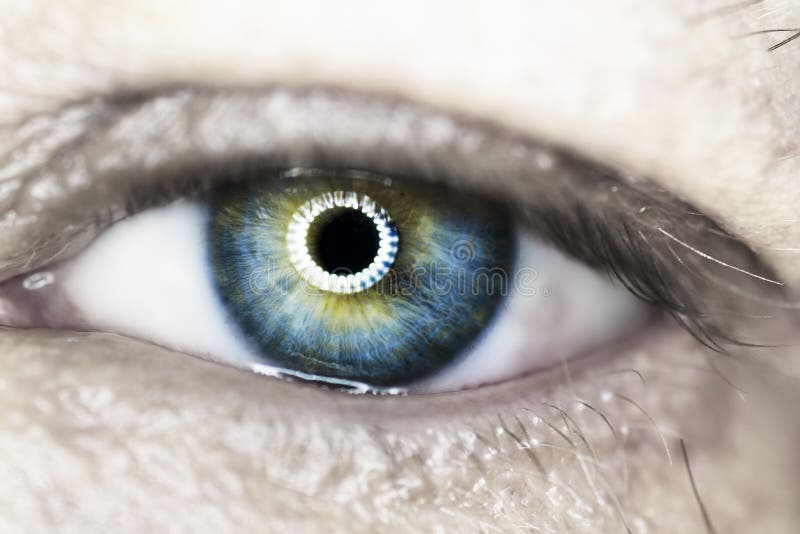 Blue eye macro stock image. Image of eyes, farsighted - 43146637