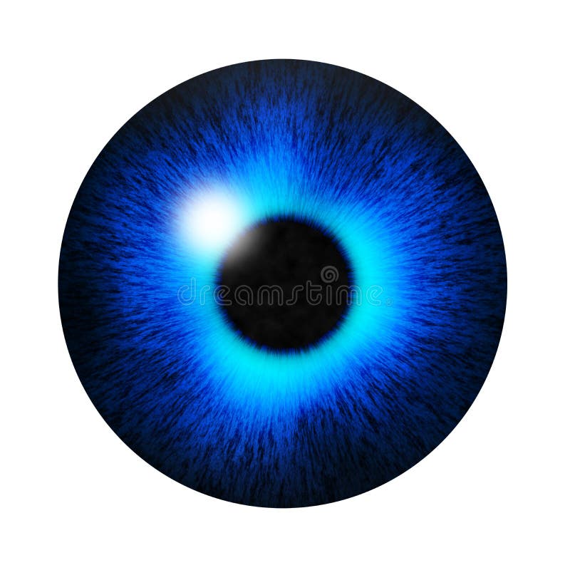 Blue eye pupil stock illustration. Illustration of eyeball - 50800011