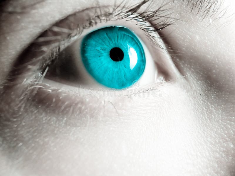 Blue eye stock image. Image of human, color, young, isolated - 52414333