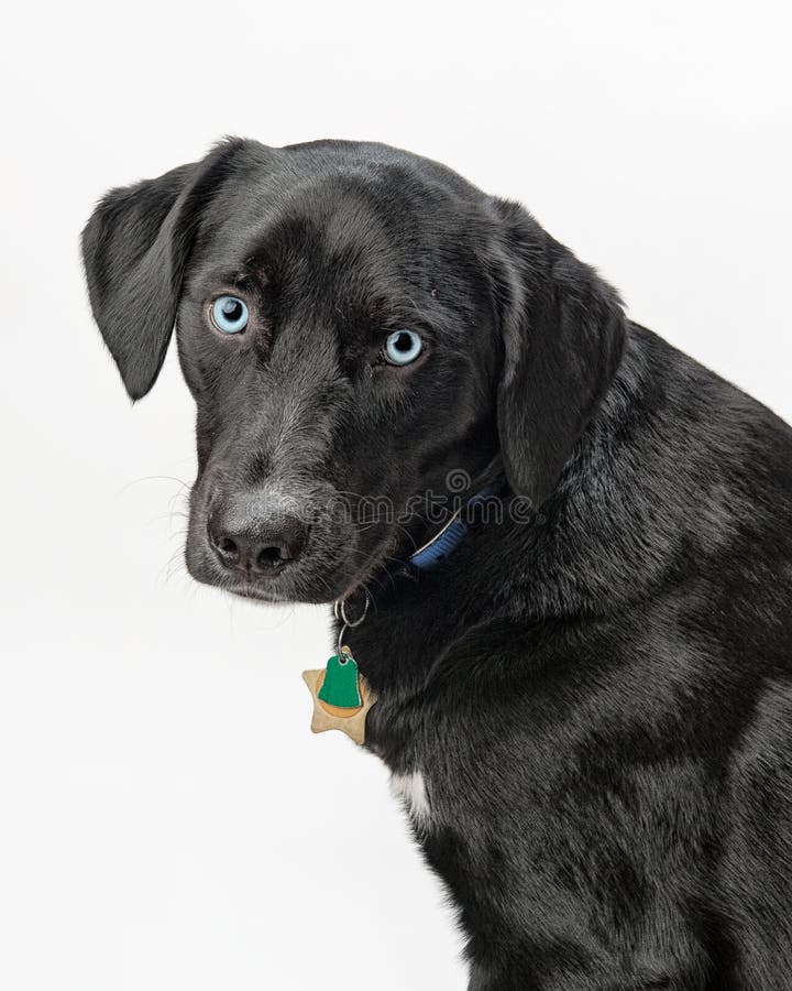 Inside a Blue Ice Cave in Iceland Stock Photo - Image of cave, seasons ...