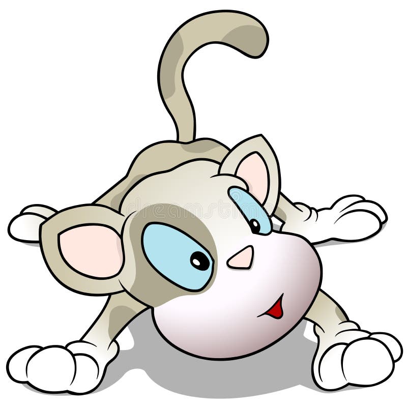 Blue Eyed Spotted Cat stock vector. Illustration of blotched - 77248563