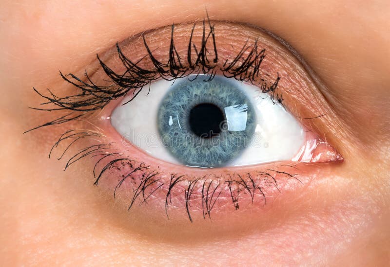 Blue eyes close up stock photo. Image of close, macro - 80906992