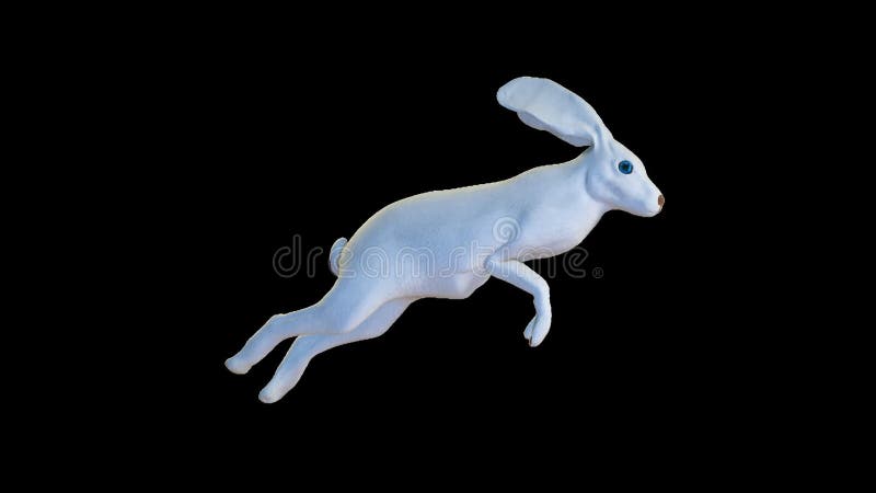 Blue Eyes White Rabbit Running, Easter Egg Hunting, Loop, Against Black ...