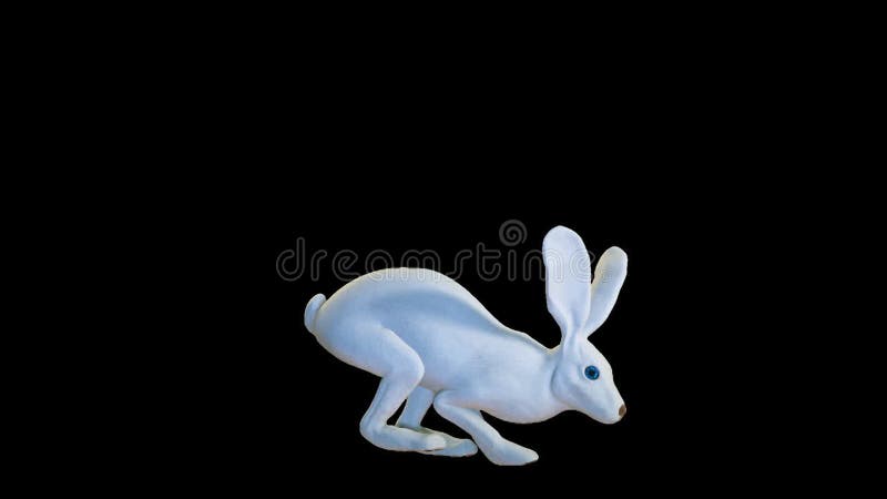 Blue Eyes White Rabbit Running, Easter Egg Hunting, Loop, Luma Matte ...