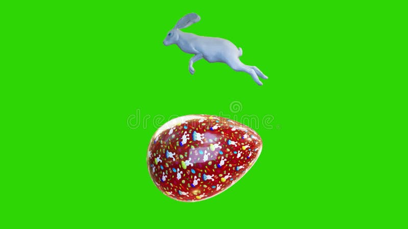 Blue Eyes White Rabbit Running on Easter Egg, Loop, Green Screen ...