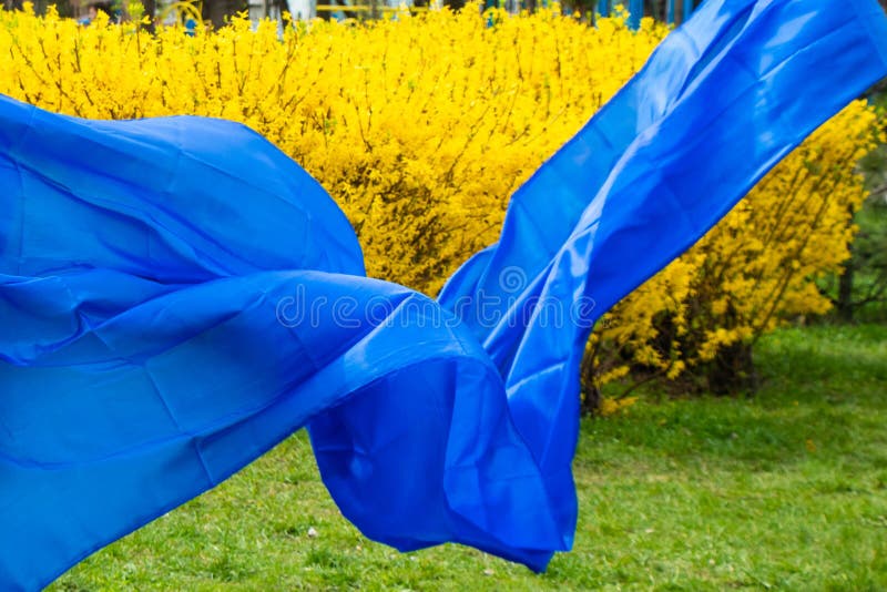 Blue Fabric Develops in the Wind. Stock Photo - Image of flying ...