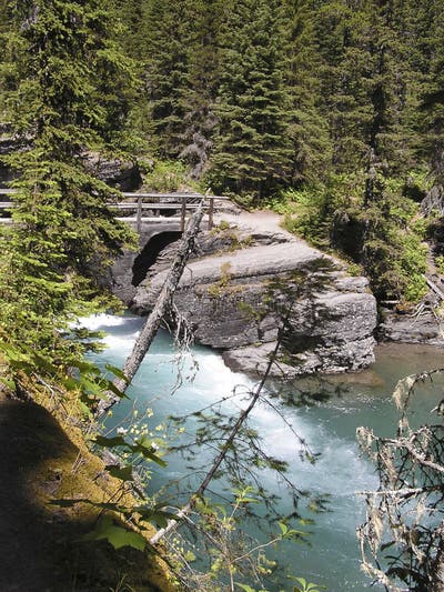 Blue falls and flowers stock photo. Image of tree, park - 357460