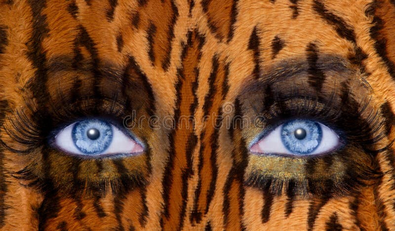 Blue Fashion Makeup Eyes Leopard Stock Photo - Image of glamour, face ...