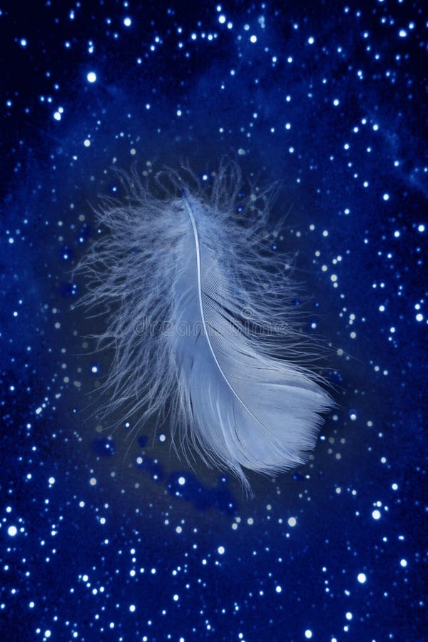 439,953 Blue Feather Stock Photos - Free & Royalty-Free Stock Photos ...