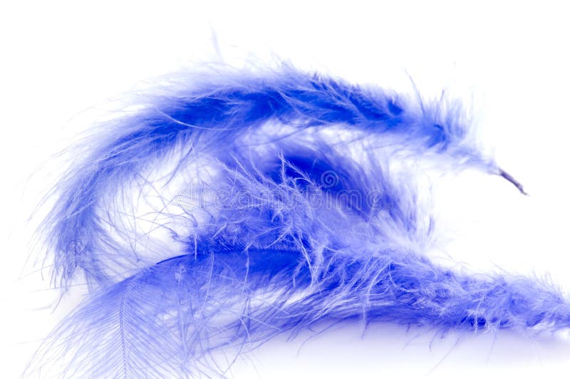 Native American Indian Feathers in Blue and White. Stock Image - Image ...