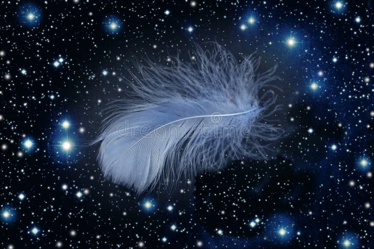 8,643 Falling Feather Stock Photos - Free & Royalty-Free Stock Photos ...