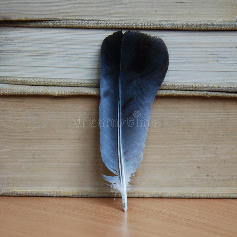 Blue feather and old books stock photo. Image of cover - 84985662