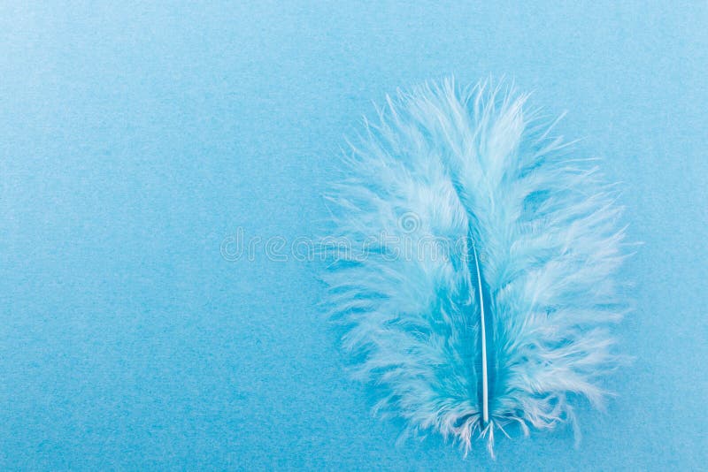 Blue Feather on Blue Paper Background Stock Photo - Image of background ...