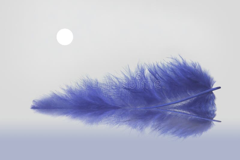 Blue feather s moonlight stock illustration. Illustration of water ...