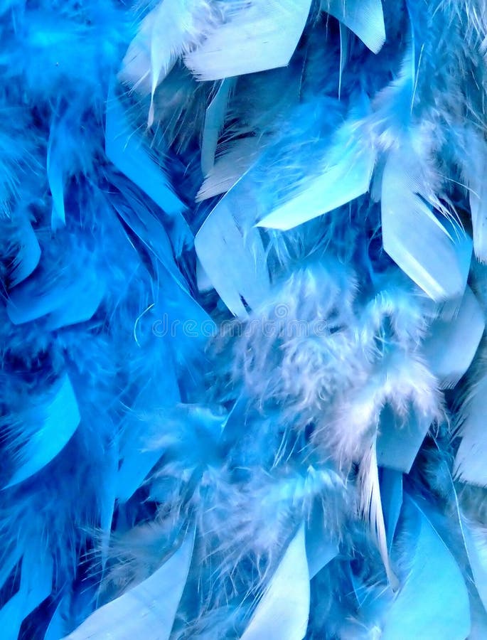 Blue feathers stock image. Image of natural, lite, blue - 629799