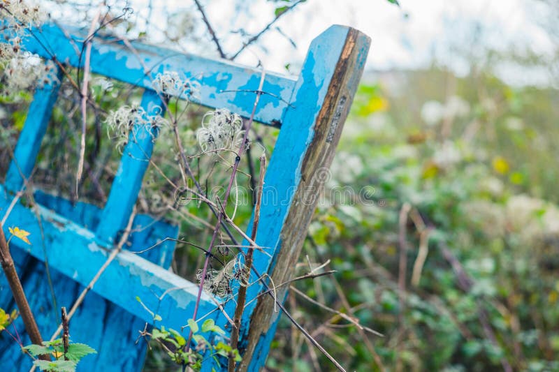 Blue fence in nature stock image. Image of plants, broken - 62790643