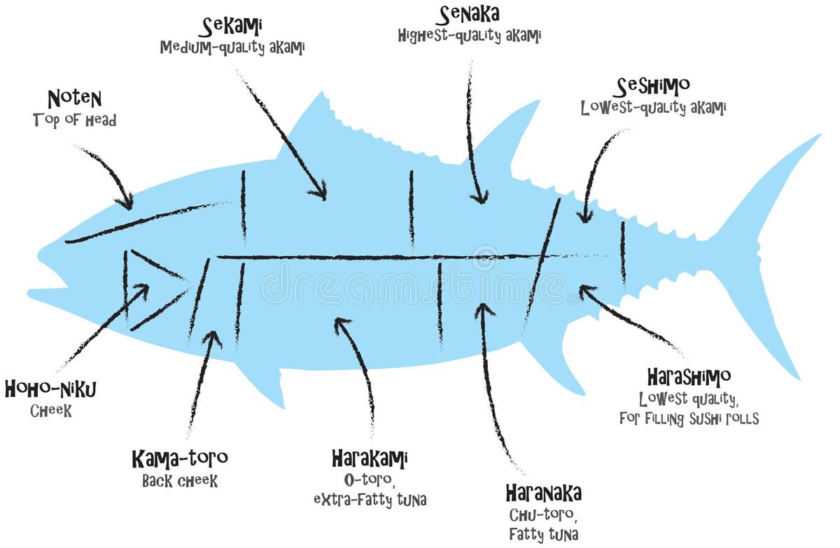Tuna Diagram Cut Stock Illustrations – 28 Tuna Diagram Cut Stock ...