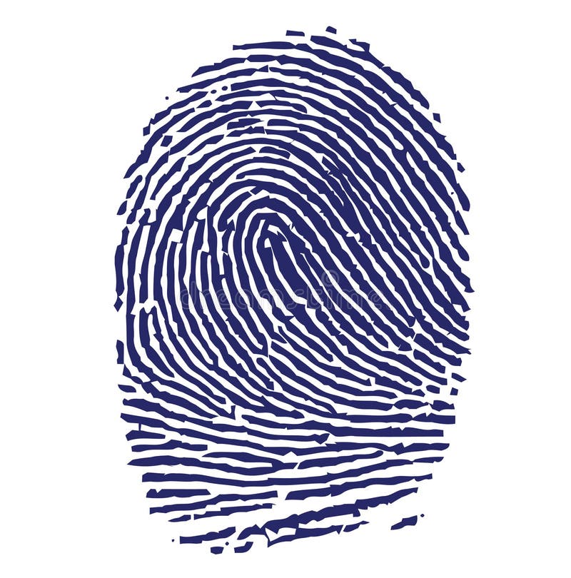 Blue Fingerprint stock vector. Illustration of fingerprint - 4060951