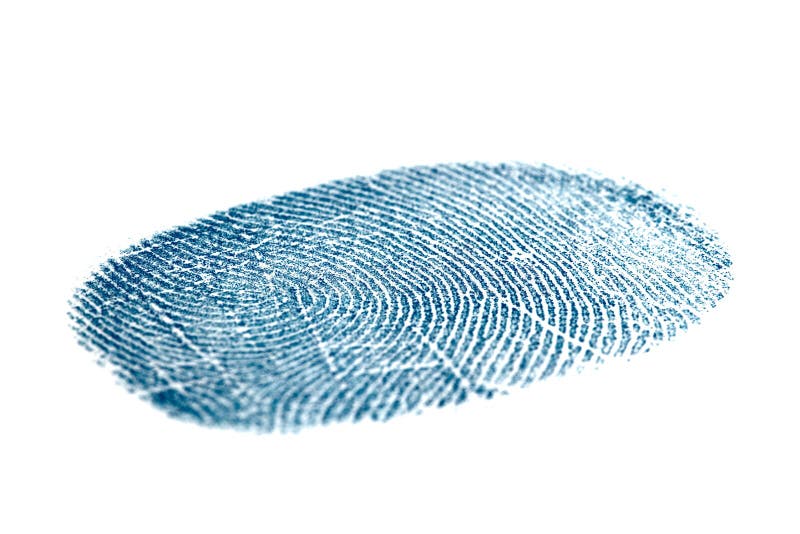 Fingerprint stock image. Image of biometric, print, blue - 12281229