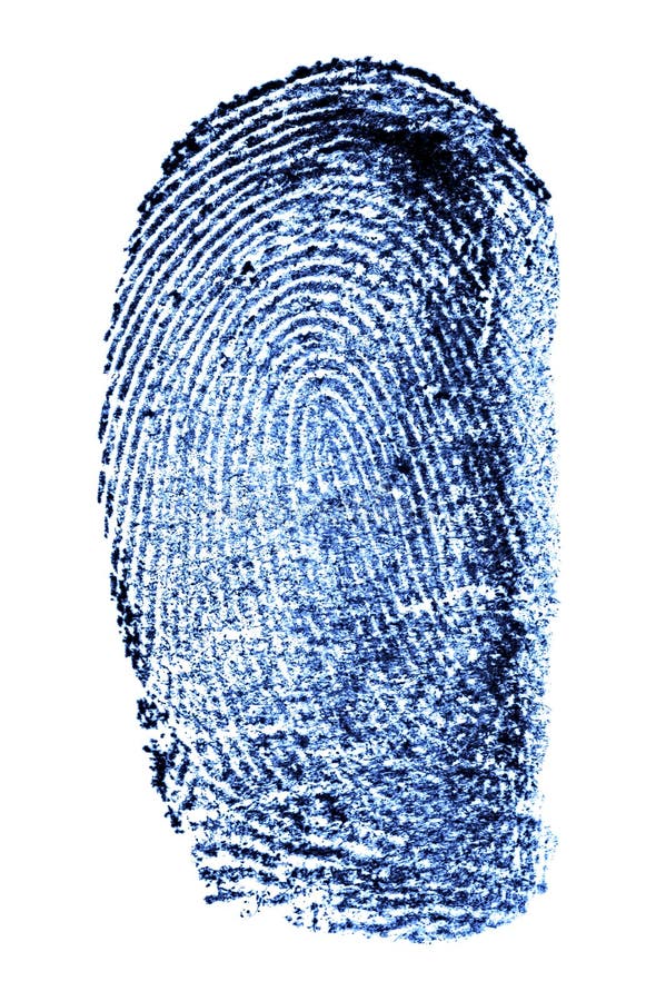 Blue Fingerprint Identity ID Stock Image - Image of evidence, identity ...