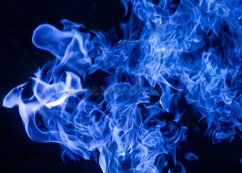 Blue fire stock photo. Image of bonfire, quail, circle - 288531374