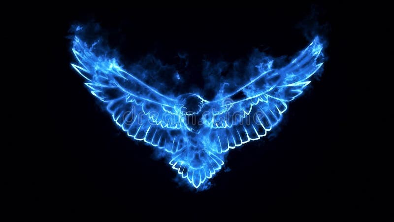 Fire Eagle Phoenix Intro Logo with Reveal Effect Background Stock Footage - Video of orange ...