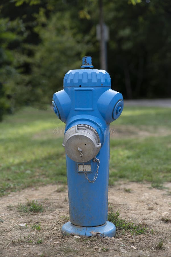 Blue fire hydrant stock image. Image of water, street - 160337963