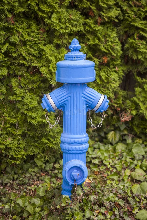 Blue Fire Hydrant in the Park Stock Photo - Image of pipes, safety ...