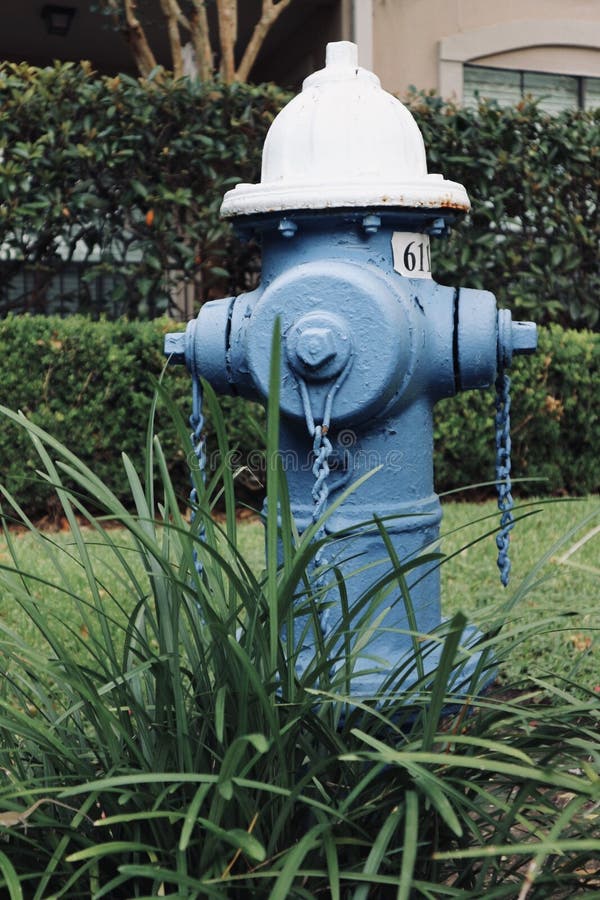 362 Facing Fire Stock Photos - Free & Royalty-Free Stock Photos from ...