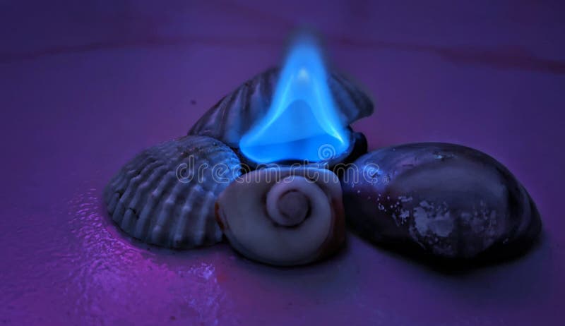 Blue Fire on Shells Dark Photography Stock Image - Image of dark, fire ...