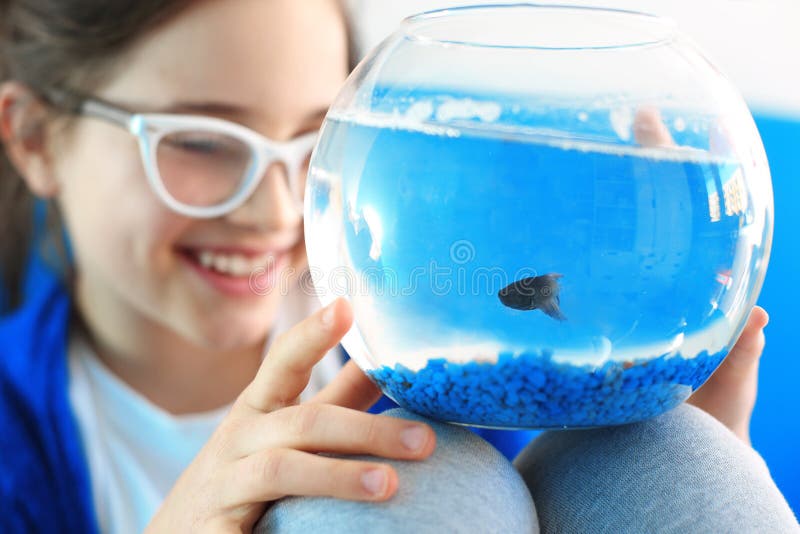 Blue fish stock photo. Image of duty, child, home, blue - 52105274